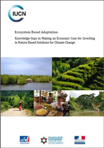 Ecosystem based adaptation : knowledge gaps in making an economic case for investing in nature ...