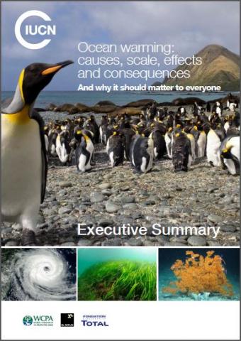 Ocean warming : causes, scale, effects and consequences...Executive ...