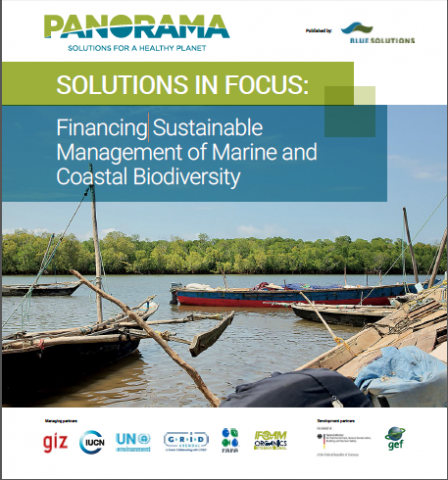 Solutions in focus : financing sustainable management of marine and ...
