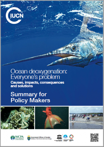 Ocean deoxygenation : everyone's problem...summary for policy makers ...