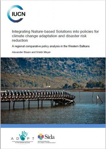 Integrating Nature-based Solutions into policies for climate change ...