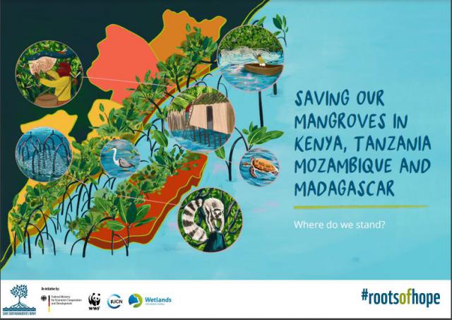 Saving our mangroves in Kenya, Tanzania, Mozambique and Madagascar ...
