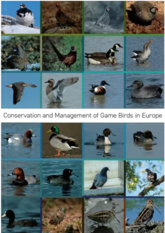Conservation and management of game birds in Europe | IUCN Library System