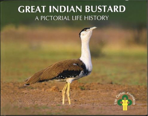indian bustard