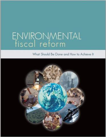 Environmental fiscal reform : what should be done and how to achieve it ...