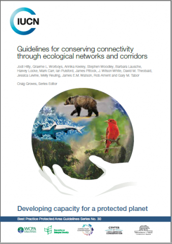 Guidelines for conserving connectivity through ecological networks and ...