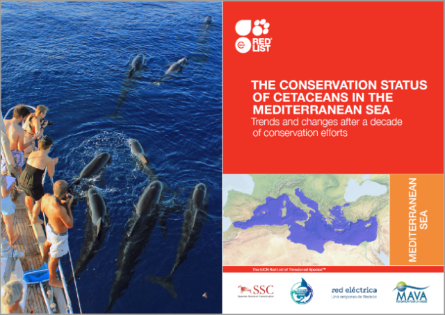 The conservation status of cetaceans in the Mediterranean Sea | IUCN ...