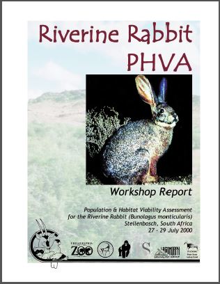 riverine rabbit
