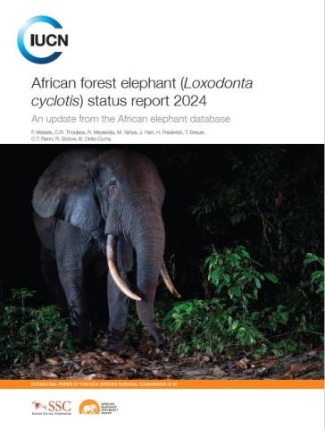 elephant conservation status