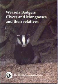 Weasels, badgers, civets and mongooses and their relatives - resource ...