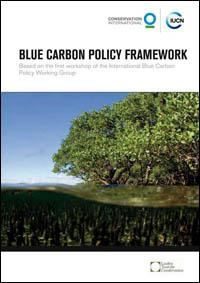 Blue carbon policy framework : based on the first workshop of the ...