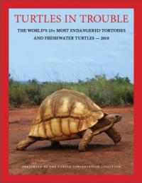 Turtles in trouble - resource | IUCN