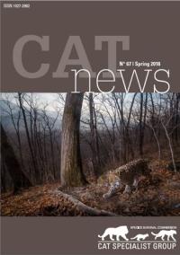 Cat news - resource | IUCN